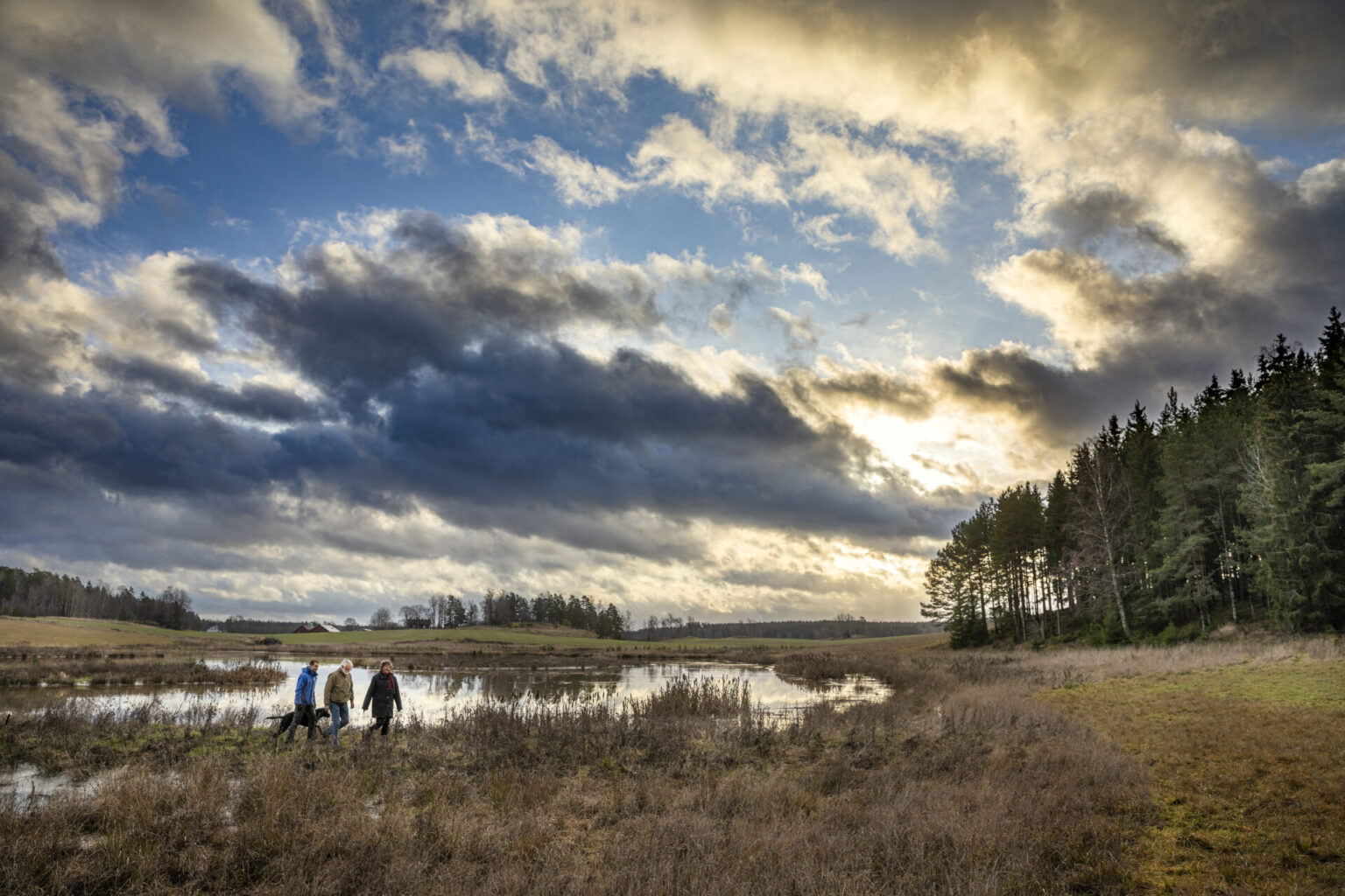 Private markets pioneer in the Nordics - CapMan